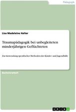 Traumapädagogik bei unbegleiteten minderjährigen Geflüchteten Halter ...