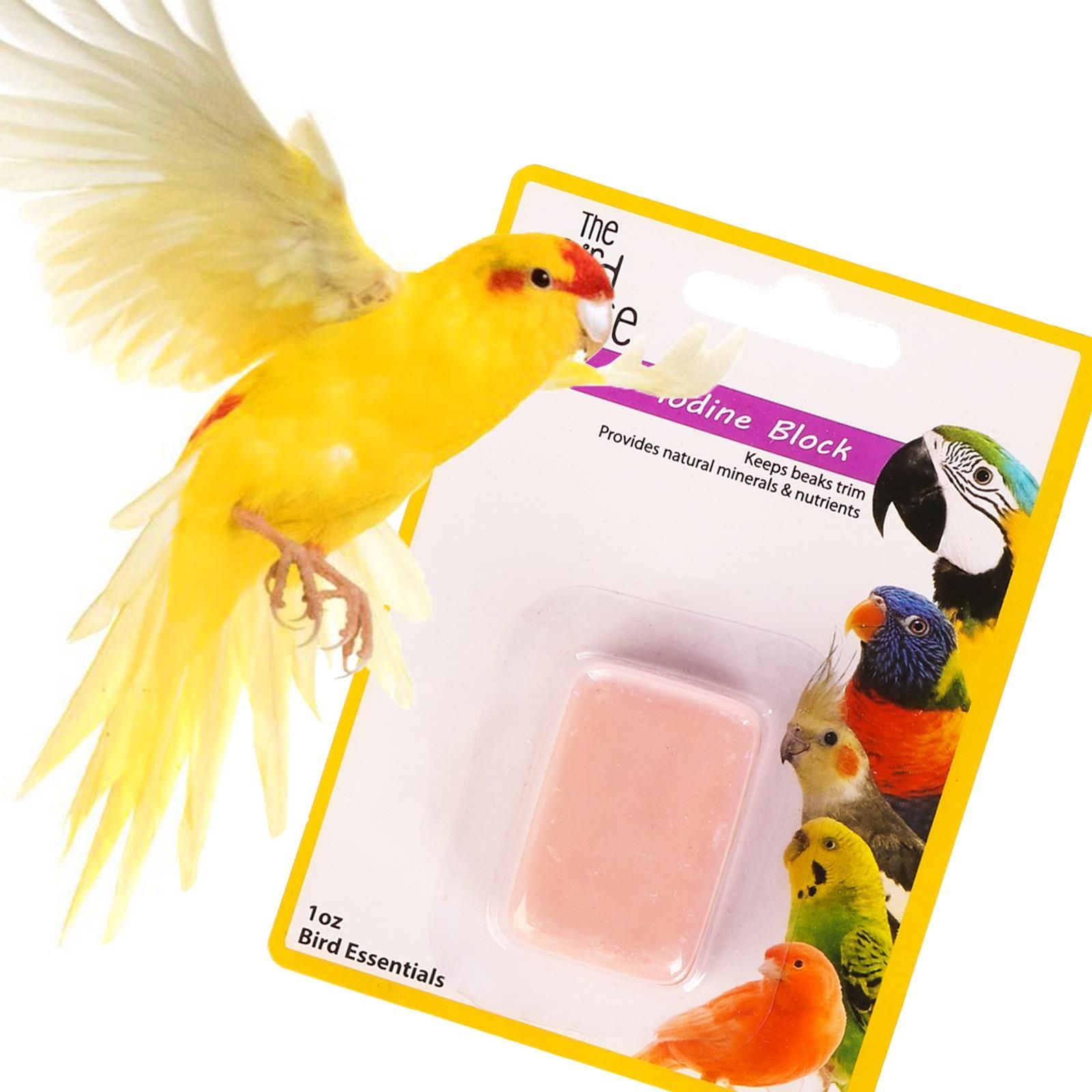 Happypet Iodine Block 30G Kostka Wapienna Z Jodem - Ceny i opinie ...