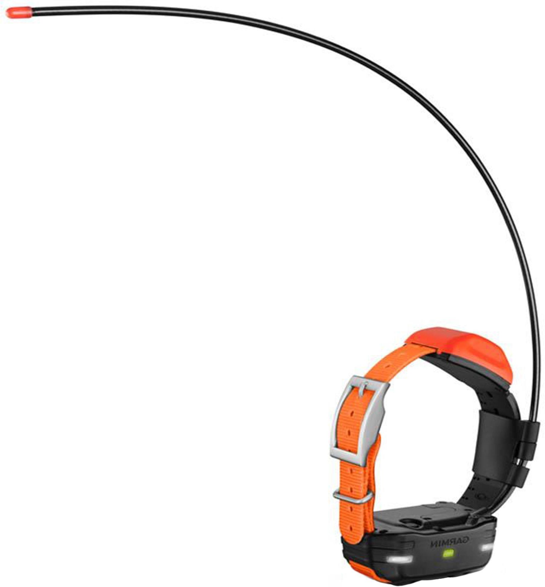 Garmin Obroża Dodatkowa T5 Mini - Ceny i opinie - Ceneo.pl