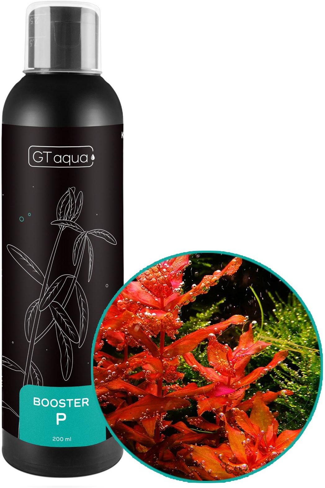 Gt Aqua Booster P 200Ml Nawóz Fosforowy - Ceny i opinie - Ceneo.pl