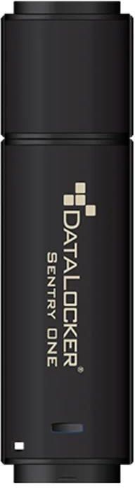 Pendrive Datalocker Sentry One 128 Gb Czarny (Sone128) - Opinie i ceny ...