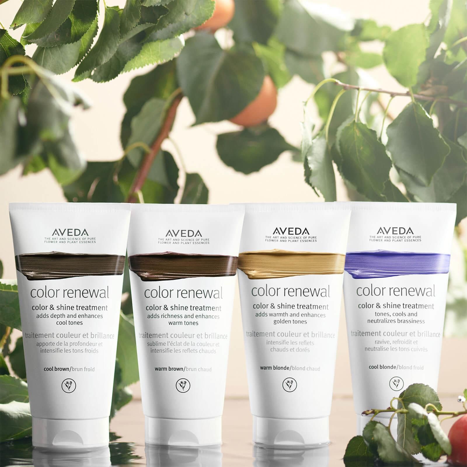 Maska do włosów Aveda Color Renewal & Shine Treatment Maska ...