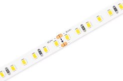 Bergmen Taśma LED economy Lva 5m 9.6W/m 24V 830 840 865 885 ...