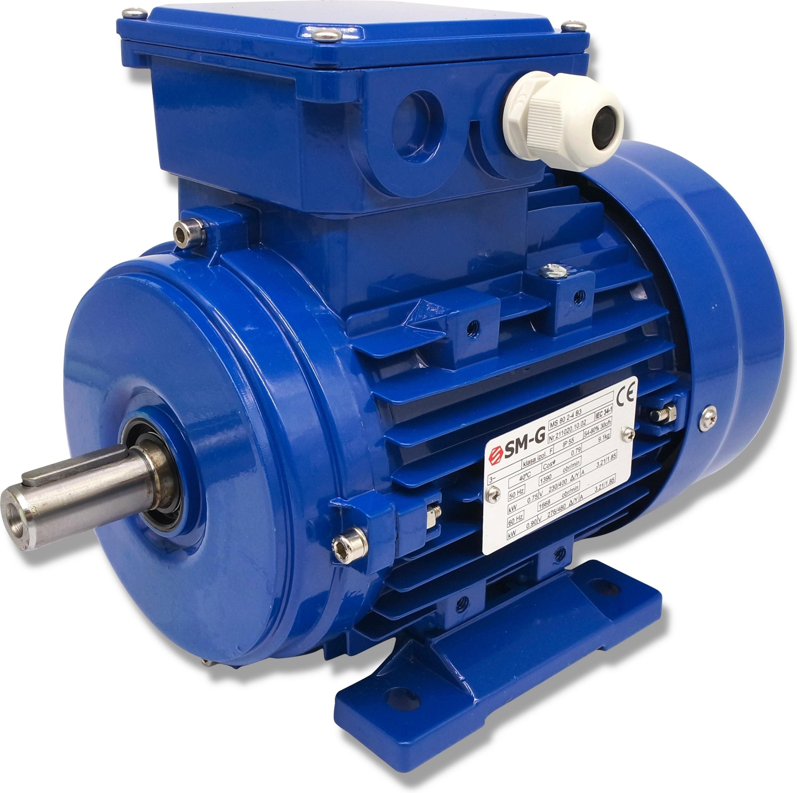 Sm-G Silnik Elektryczny 0,75Kw 230/400V 1390Obr 3Fazowy 3009.Ms.80.2-4. ...