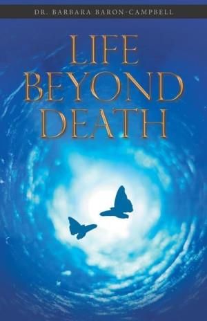 Life Beyond Death - Literatura obcojęzyczna - Ceny i opinie - Ceneo.pl