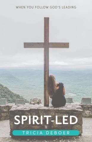 Spirit-Led: When You Follow God's Leading - Literatura obcojęzyczna ...