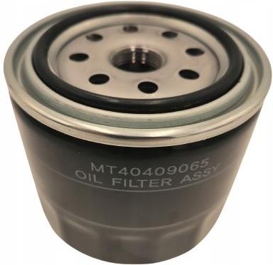 Cnh Filtr Oleju Silnikowego Mt40318591 Mt40409065 - Opinie i ceny na ...