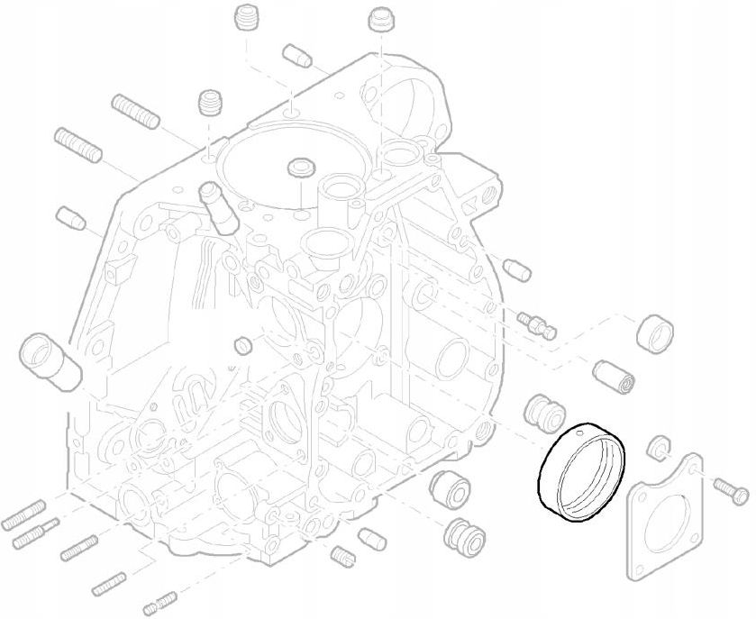 Hatz Zestaw Panewek Std 1D60 1D80 1D81 1D90 1300007708091 - Opinie i ...