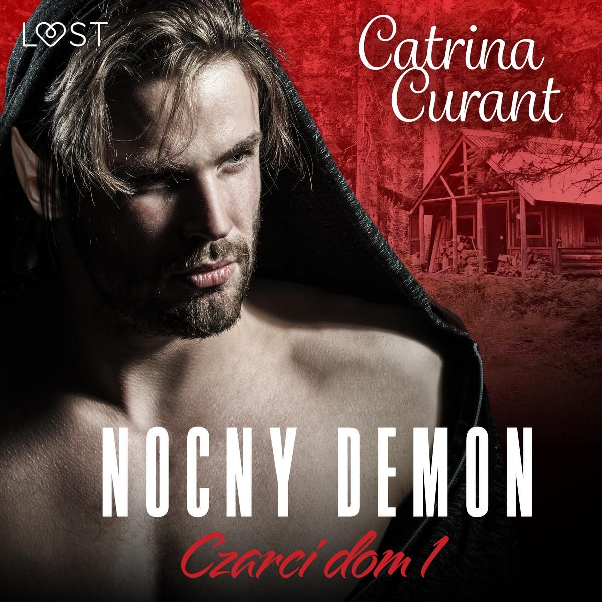 Czarci dom 1: Nocny demon – seria erotyczna (Audiobook) - Ceny i opinie ...