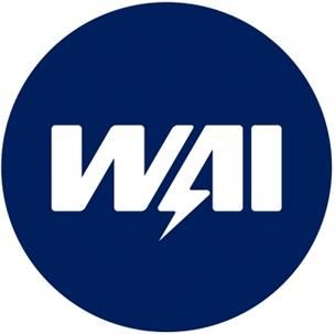 Wai Alternator 10940N Perkins Yanmar Silniki Traktor 10940N - Opinie i ...