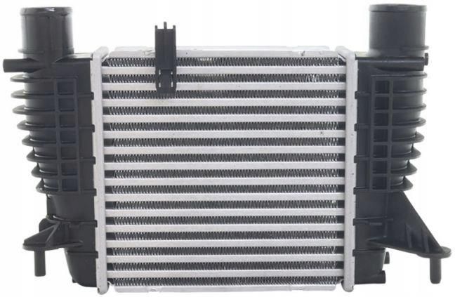 Srl Intercooler Nissan Juke F15 06 10 14461Em00A - Opinie i ceny na ...