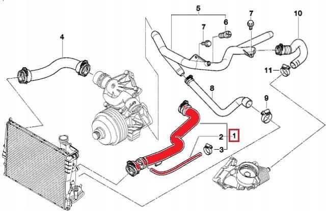 Skv Przewód Chłodnicy Bmw E39 M57 Oe 11537785018 Skv24Skv373 - Opinie i ...