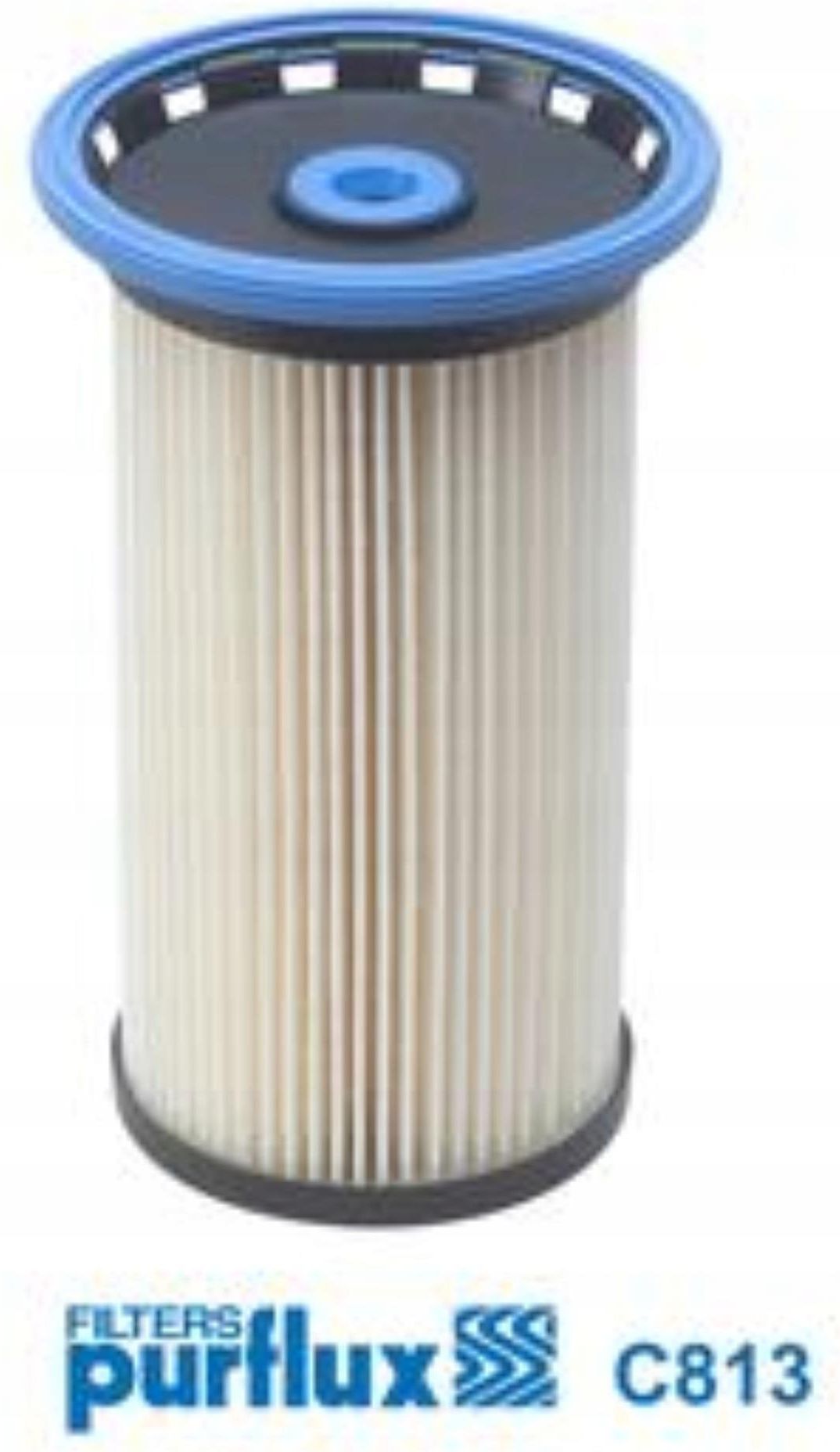 Filtr paliwa Purflux Filtr Paliwa Px C813 - Opinie i ceny na Ceneo.pl
