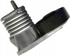 Volvo Oe S60 V60 Xc60 2,0T Napinacz Paska Kligo O 31339795 - Opinie i ...