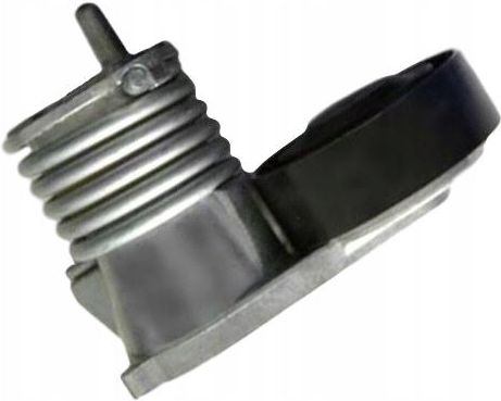 Volvo Oe C30 C70 S40 V50 Napinacz Paska Kligo 30711320 - Opinie i ceny ...