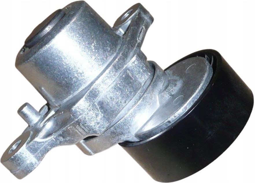 Peugeot Oe Napinacz Paska Citroen 1.6 Hdi 1613255380 - Opinie i ceny na ...