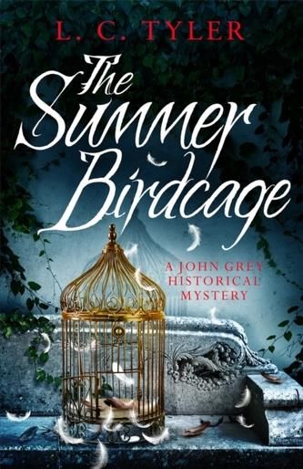 The Summer Birdcage Val Tyler - Literatura obcojęzyczna - Ceny i opinie ...
