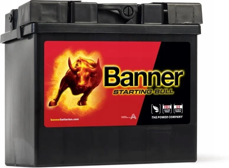 Banner Akumulator 30Ah 300A 530 30 - Opinie i ceny na Ceneo.pl