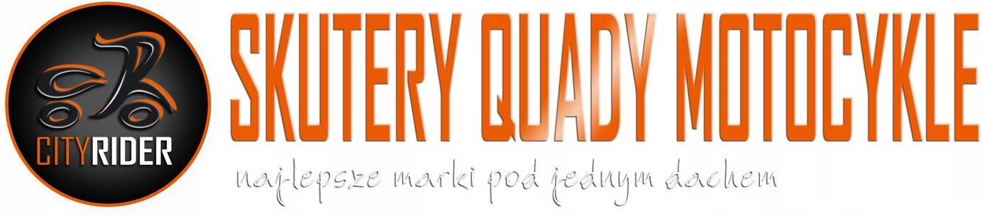 Motorower Barton FR50 - Opinie i ceny na Ceneo.pl