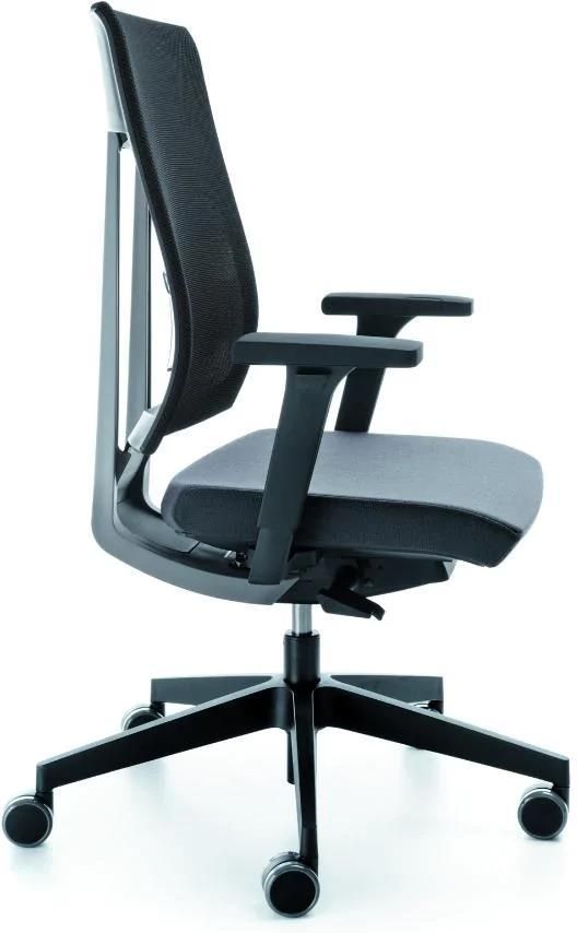 Profim Fotel Ergonomiczny Biurowy Obrotowy Z Podparciem Lędźwiowym ...