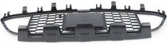 Bmw Oe Kratka Zderzaka Przedniego Środkowa 3 F30 Oem 51118068135 ...