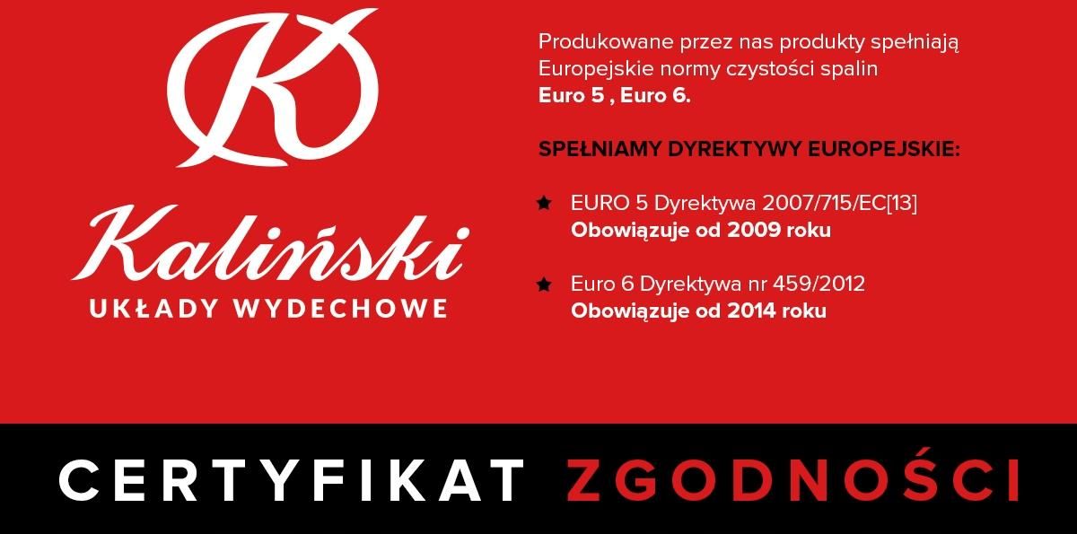 Hyundai Oe Filtr Dpf Tucson Kona 289C02U000 - Opinie i ceny na Ceneo.pl