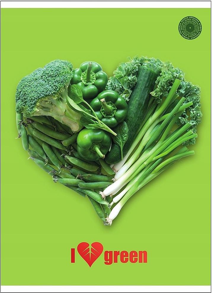 Ziemia Obiecana Jami Think Green Zeszyt 60 Kartek A5 Kratka - Ceny i ...