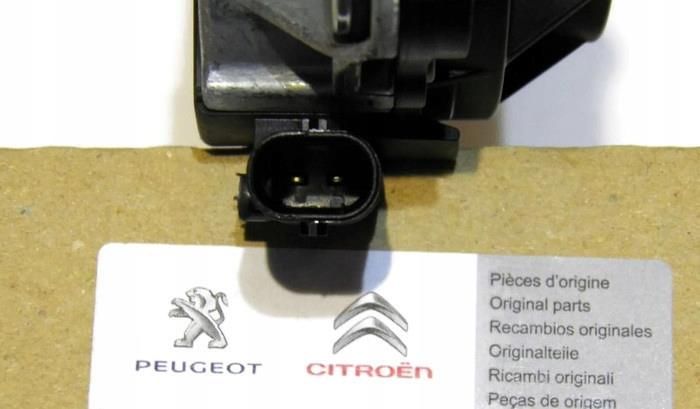 Mechanizm rozrządu Psa Napinacz Koła Pompy Wody Peugeot Citroen Oe ...