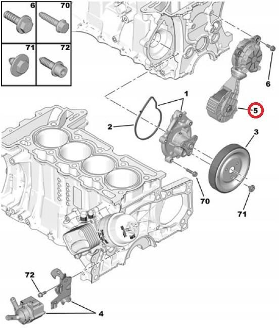 Mechanizm rozrządu Psa Napinacz Koła Pompy Wody Peugeot Citroen Oe ...