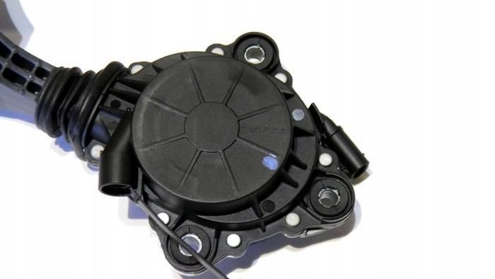 Mechanizm rozrządu Psa Napinacz Koła Pompy Wody Peugeot Citroen Oe ...