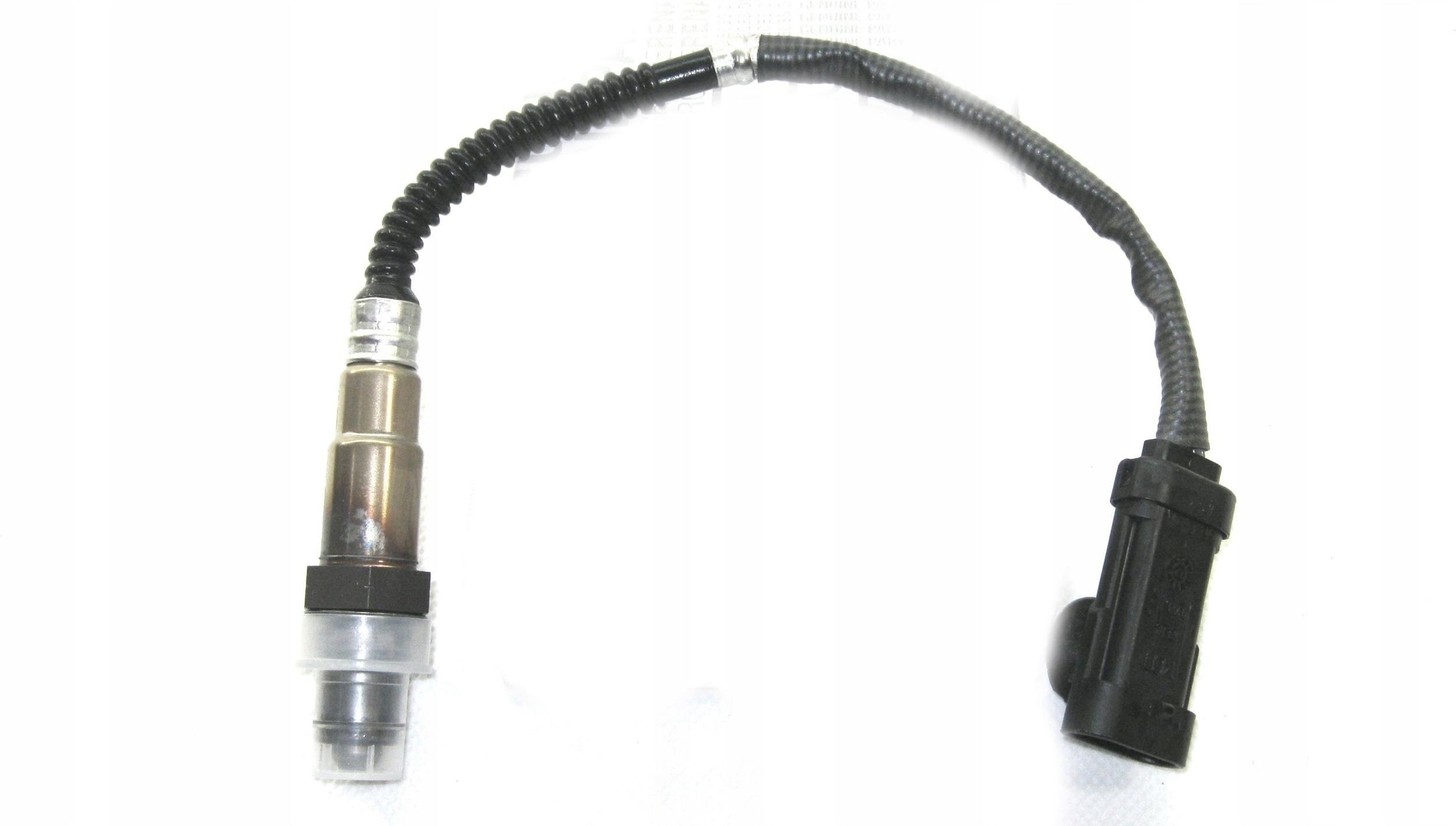 Sonda lambda Bosch Sonda Lambda Megane Ii Scenic 20 16V 8200036545 - Opinie i ceny na Ceneo.pl