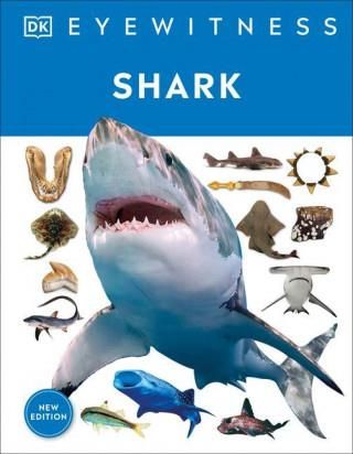 Shark: Dive Into the Fascinating World of Sharks - From the Tiny Dwarf ...