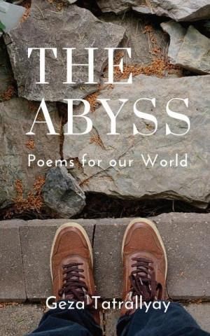 The Abyss: Poems for our World - Literatura obcojęzyczna - Ceny i ...