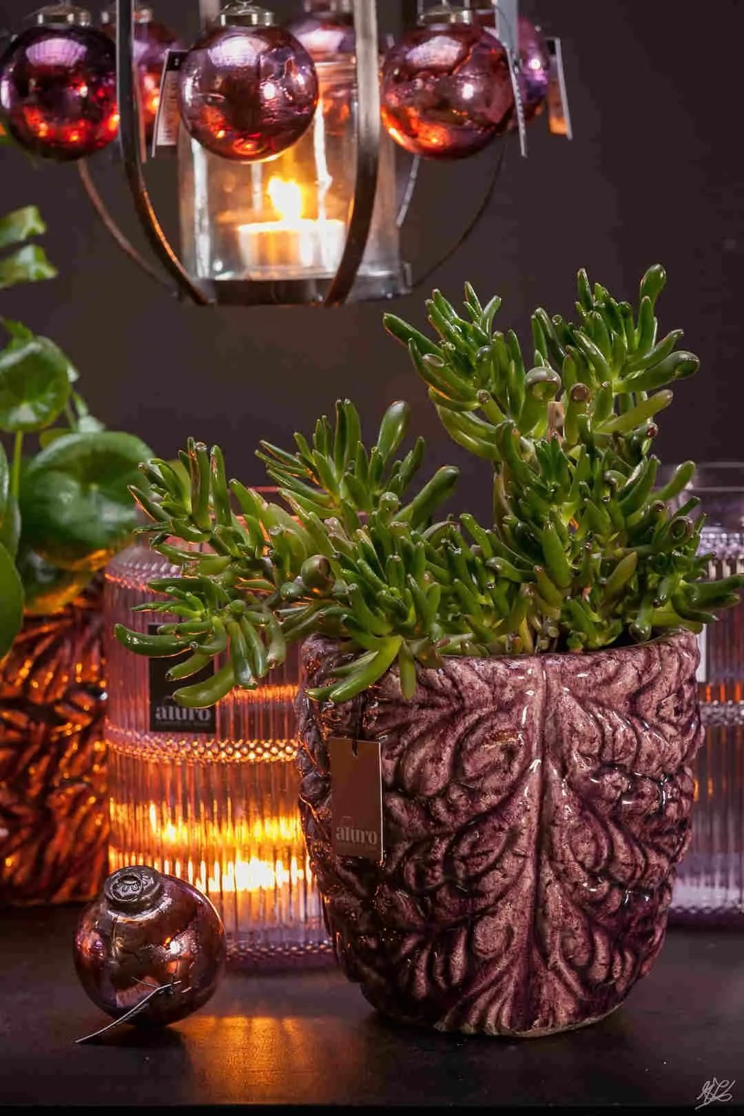 Osłonka Donica Carla M Aluro - Ceny i opinie - Ceneo.pl