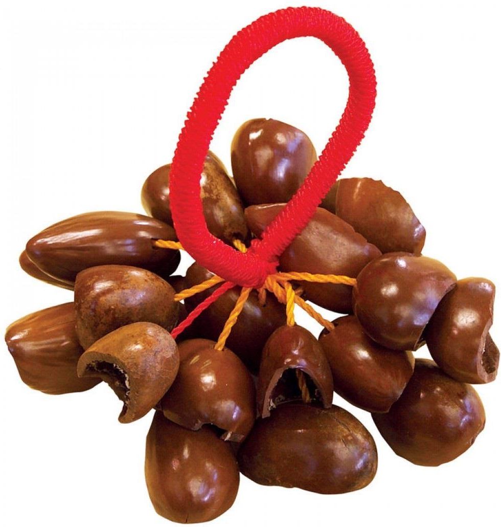 PP World Percussion African Nut Shell Shaker - Ceny i opinie - Ceneo.pl