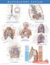 Respirator - ceny i opinie - Ceneo.pl