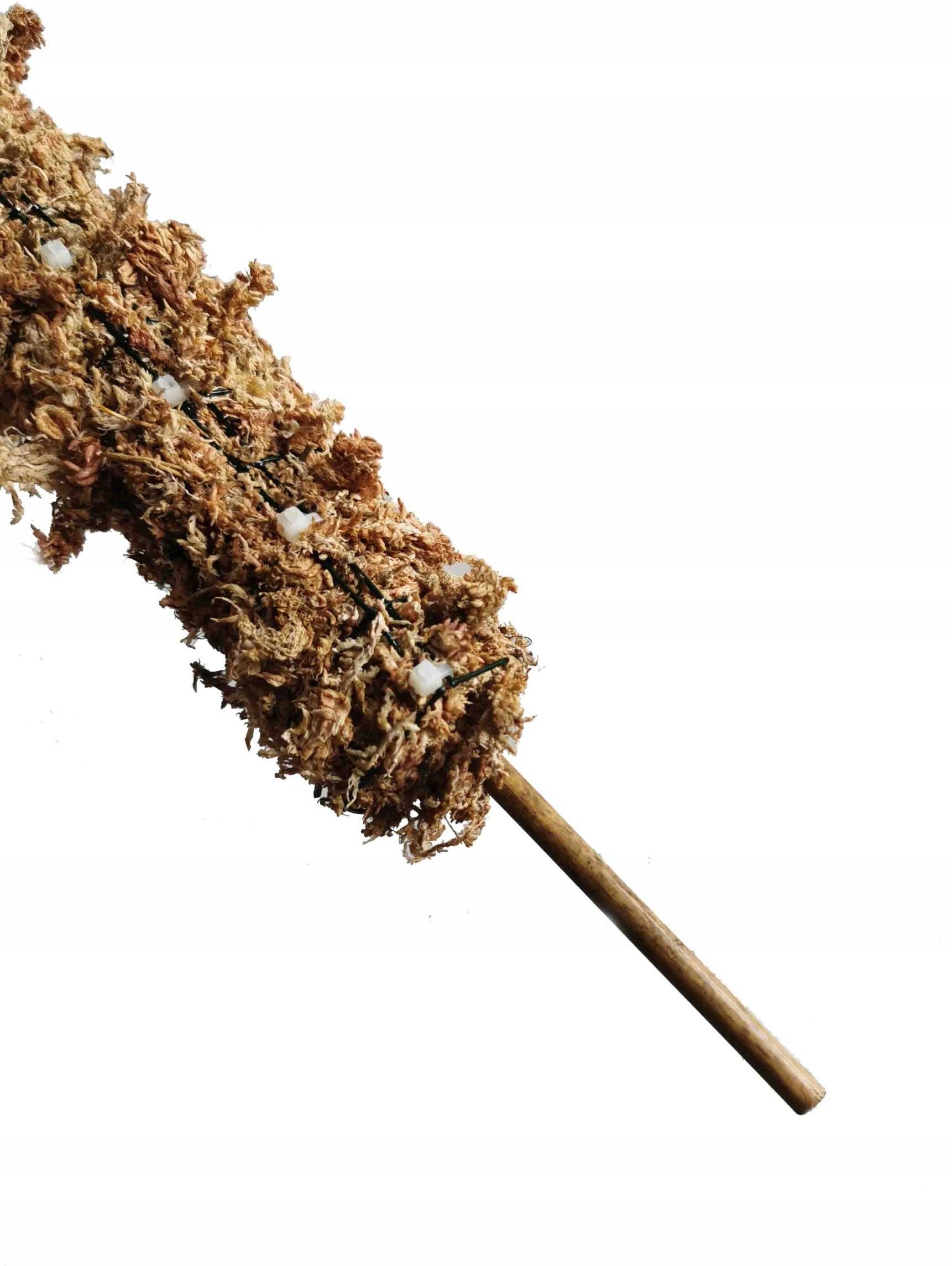 Palik Z Mchu Sphagnum 60 Cm- Przedłużany - Ceny i opinie - Ceneo.pl