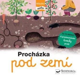 Procházka pod zemí - Následuj cestu neuveden - Literatura obcojęzyczna - Ceny i opinie - Ceneo.pl