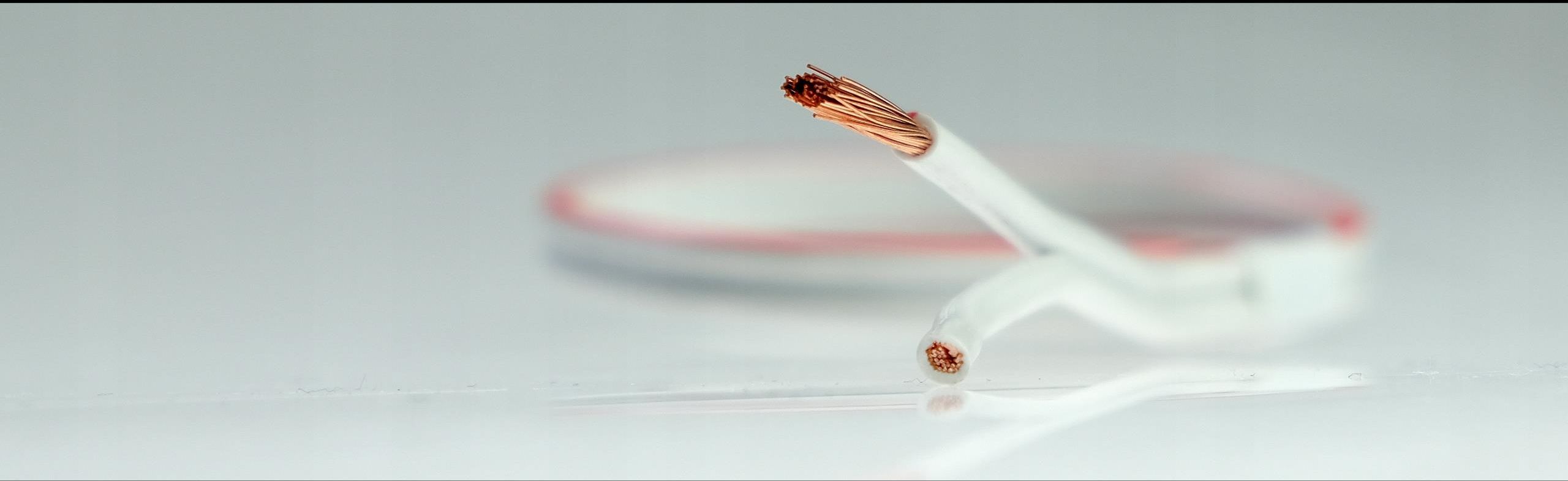 CROSS-TECH KABEL GŁOŚNIKOWY POLSKI CZYSTA MIEDŹ 2X4,0MM - 10M ...