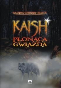 Książka Kaish - Płonąca Gwiazda - Ceny i opinie - Ceneo.pl