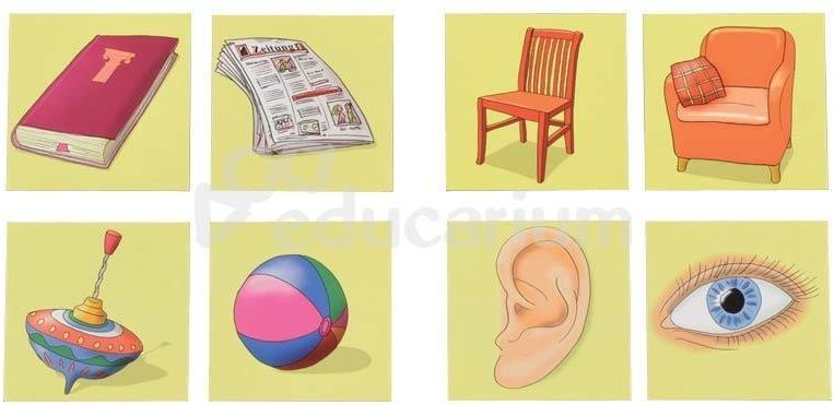 Prolog TwinFit Hyponyma Was hat den gleichen Oberbegriff? (wersja niemiecka) - Gra planszowa ...