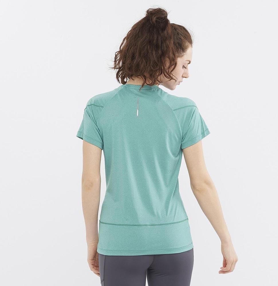 Salomon Cross Run Ss Tee W Turkusowa Lc1889200 - Ceny i opinie - Ceneo.pl