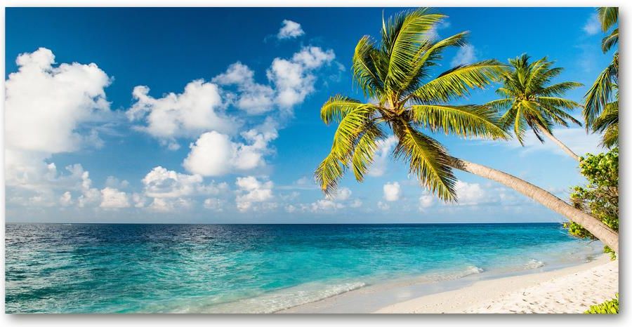 WALLMURALIA.PL FOTO OBRAZ SZKŁO AKRYL MALEDIWY PLAŻA - Opinie i ...