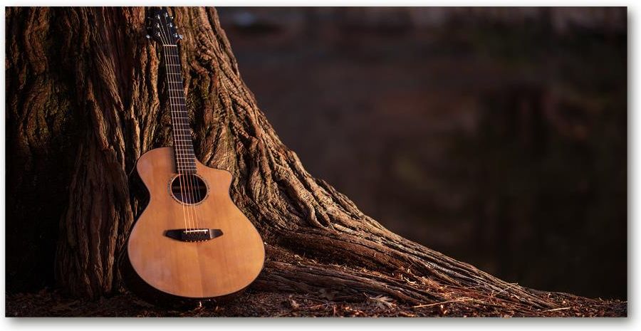 WALLMURALIA.PL FOTO-OBRAZ SZKLANY GITARA AKUSTYCZNA - Opinie i ...