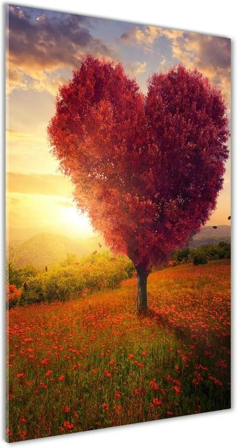 WALLMURALIA.PL FOTO OBRAZ SZKŁO HARTOWANE DRZEWO SERCE - Opinie i ...