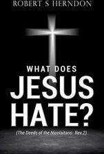 What Does Jesus Hate? - Literatura obcojęzyczna - Ceny i opinie - Ceneo.pl