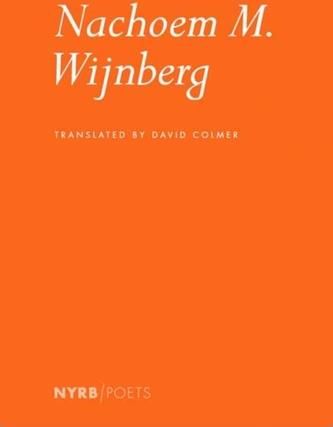 Nachoem M. Wijnberg Bigelow, Lisa Jenn - Literatura obcojęzyczna - Ceny ...