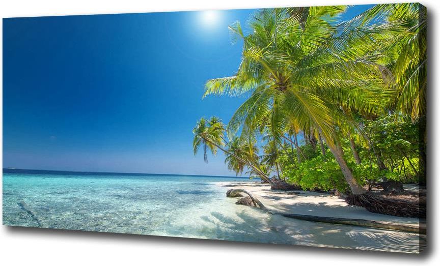 WALLMURALIA.PL FOTO OBRAZ NA PŁÓTNIE MALEDIWY PLAŻA - Opinie i ...