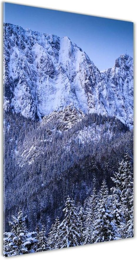 WALLMURALIA.PL FOTO OBRAZ SZKŁO HARTOWANE PIONOWY GIEWONT TATRY ...