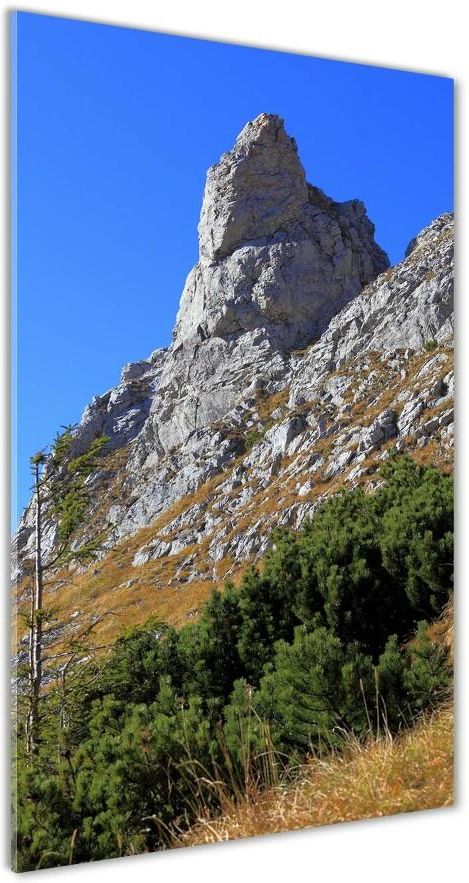 WALLMURALIA.PL FOTO OBRAZ NA SZKLE PIONOWY MAŁY GIEWONT TATRY - Opinie ...